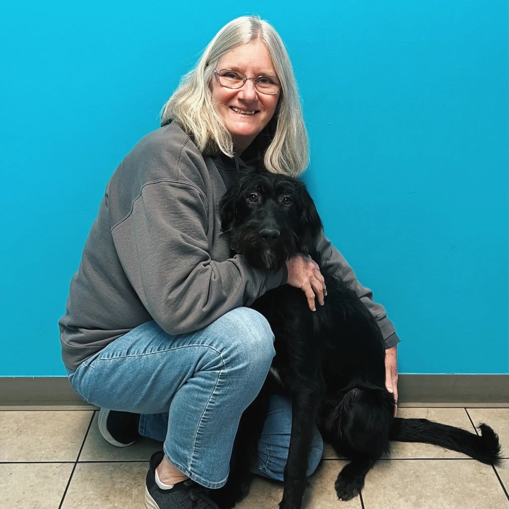 About – 4 Pawz Only